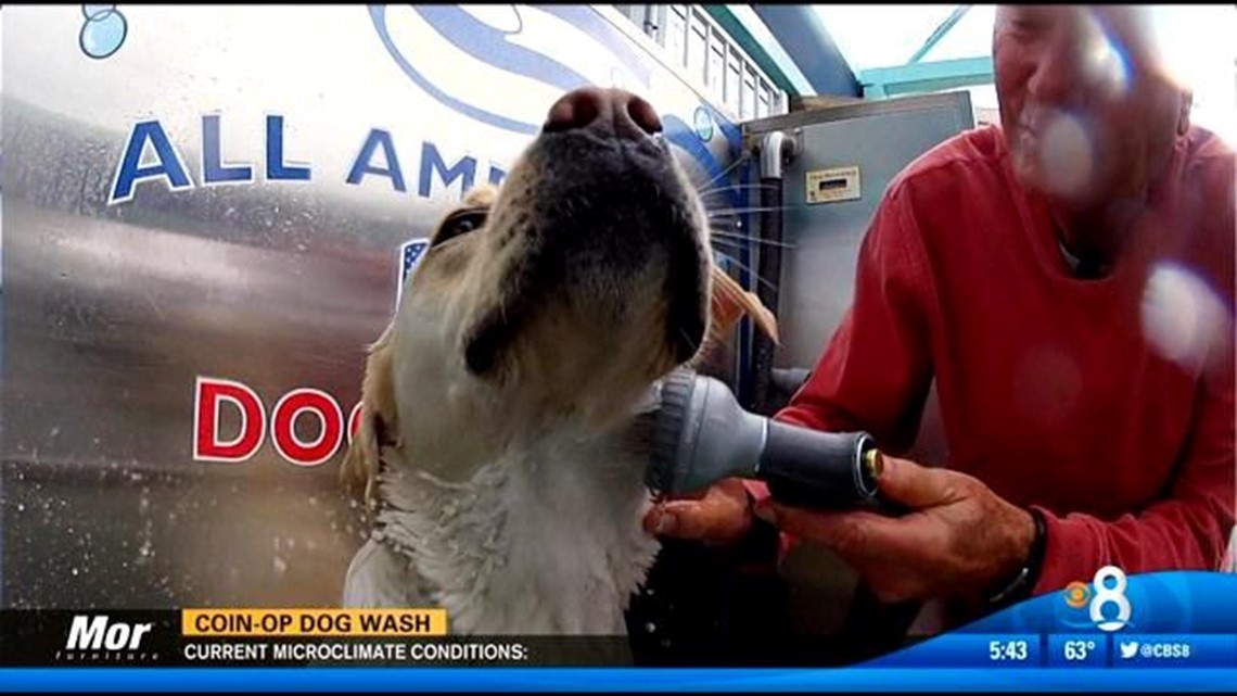 All American Coin-Operated Dog Wash | cbs8.com