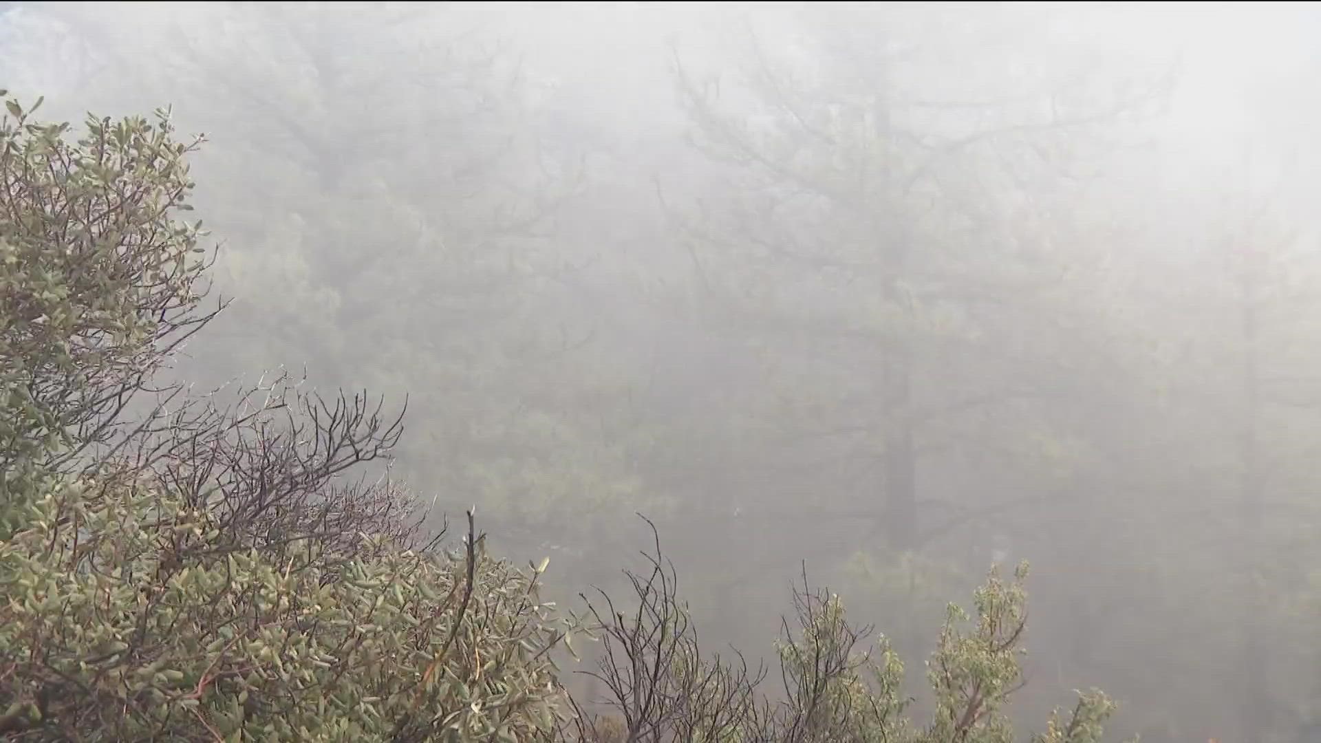 Powerful winds pound San Diego County mountains | cbs8.com