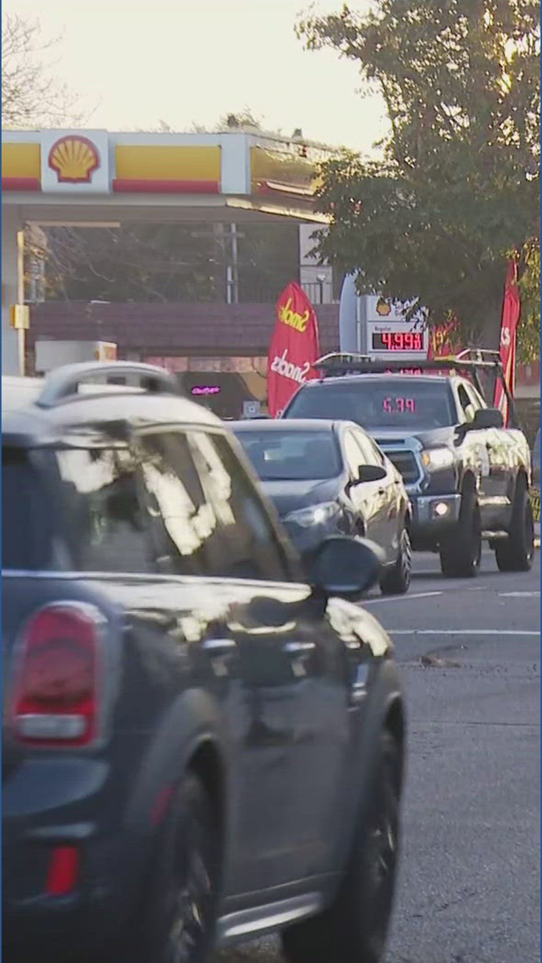 'He was my best friend' | San Diego family sues after tree falls, kills 4-year-old son at city ...