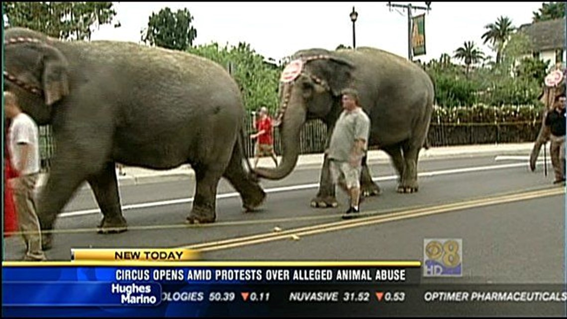 Circus opens amid protests over alleged animal abuse | cbs8.com