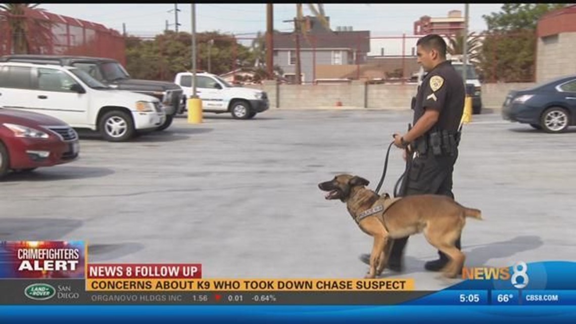 News 8 Follow Up: Concerns about K9 who took down chase suspect | cbs8.com
