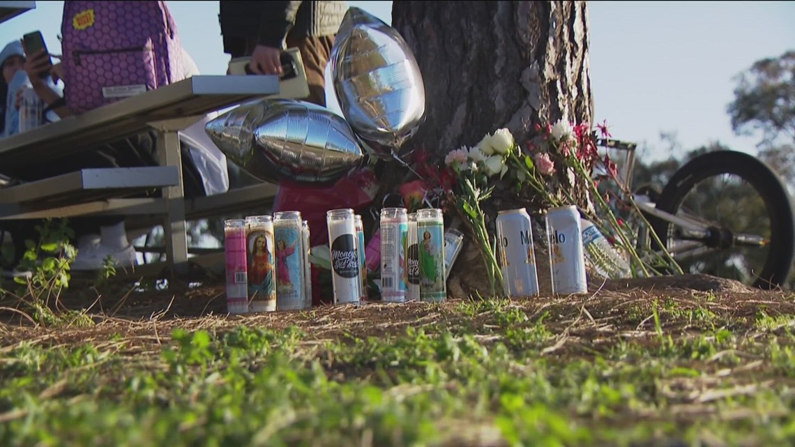 Neighbors rally for more police after park shooting | cbs8.com