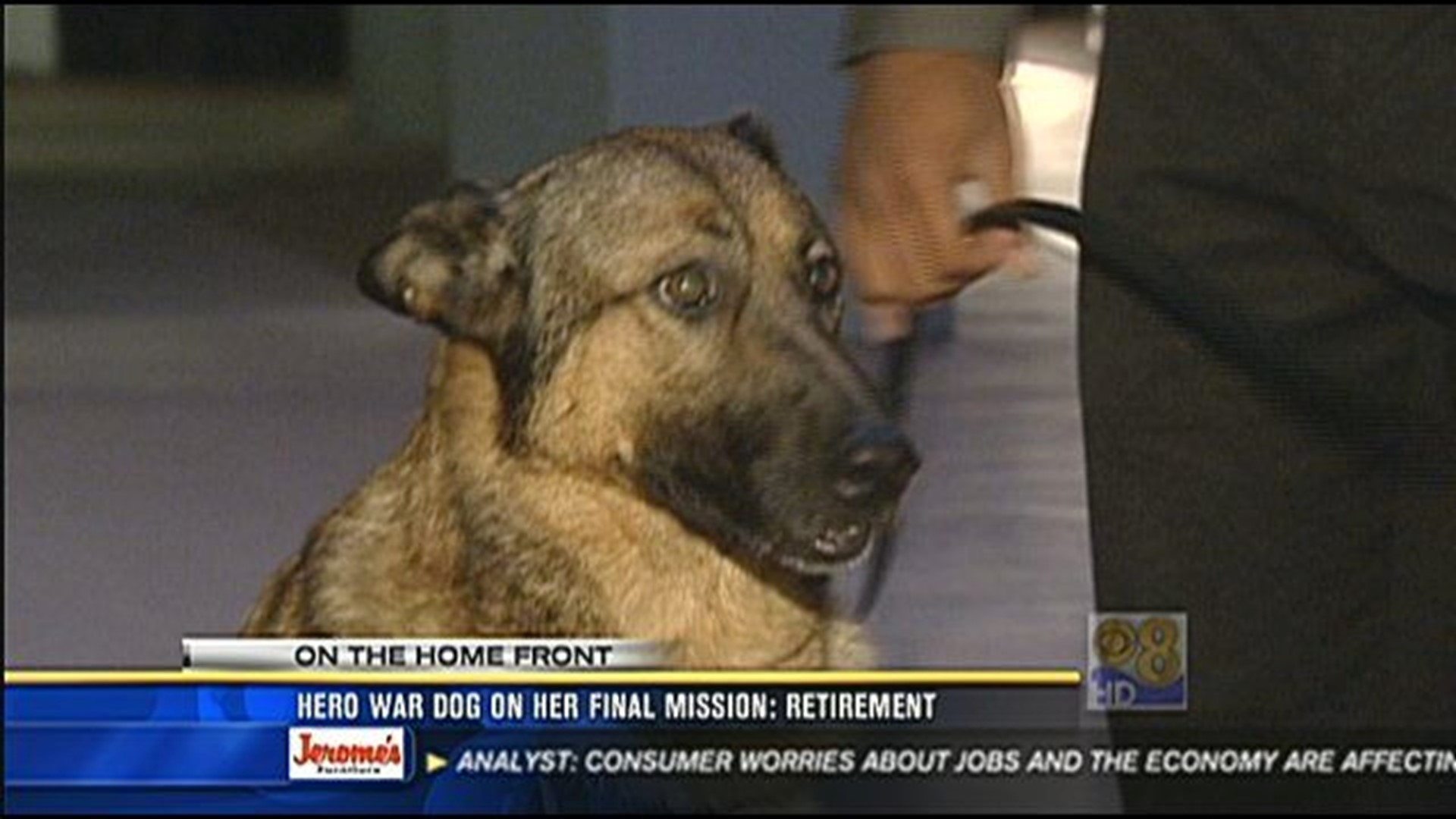 Hero war dog on her final mission: Retirement | cbs8.com