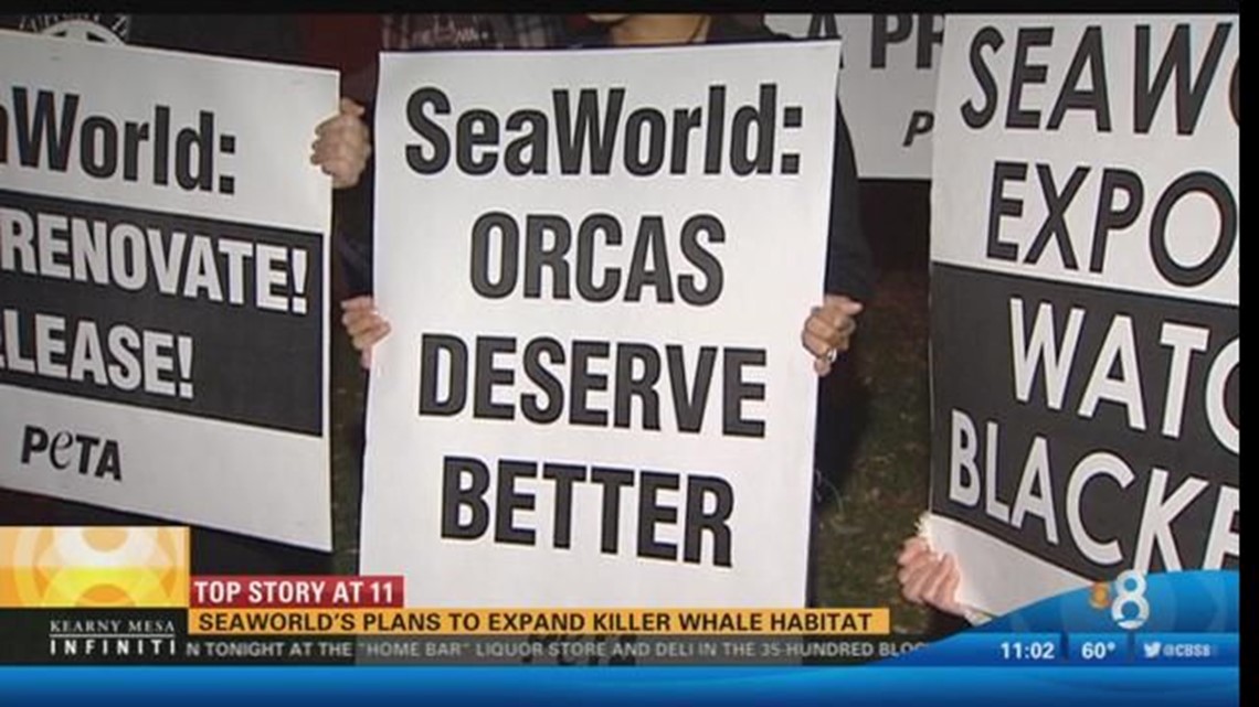 PETA protests SeaWorld's plans for larger tanks | cbs8.com