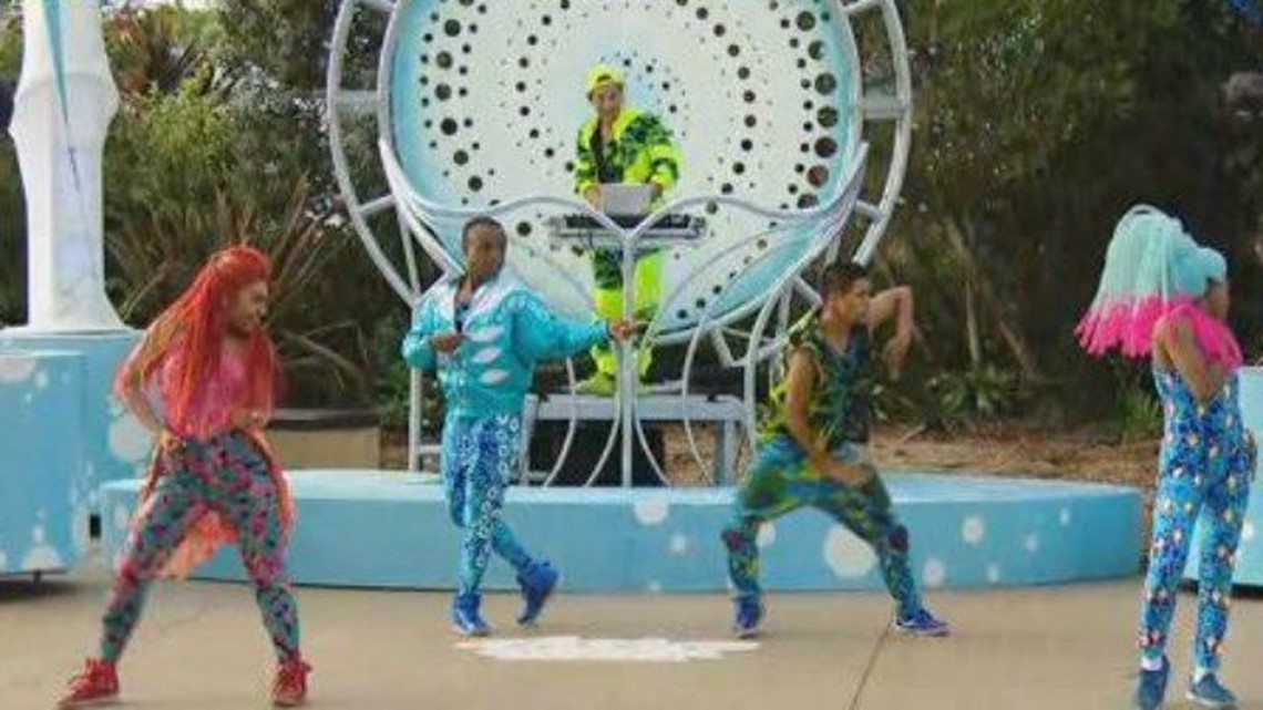 SeaWorld's nighttime spectacular: Electric Ocean | cbs8.com