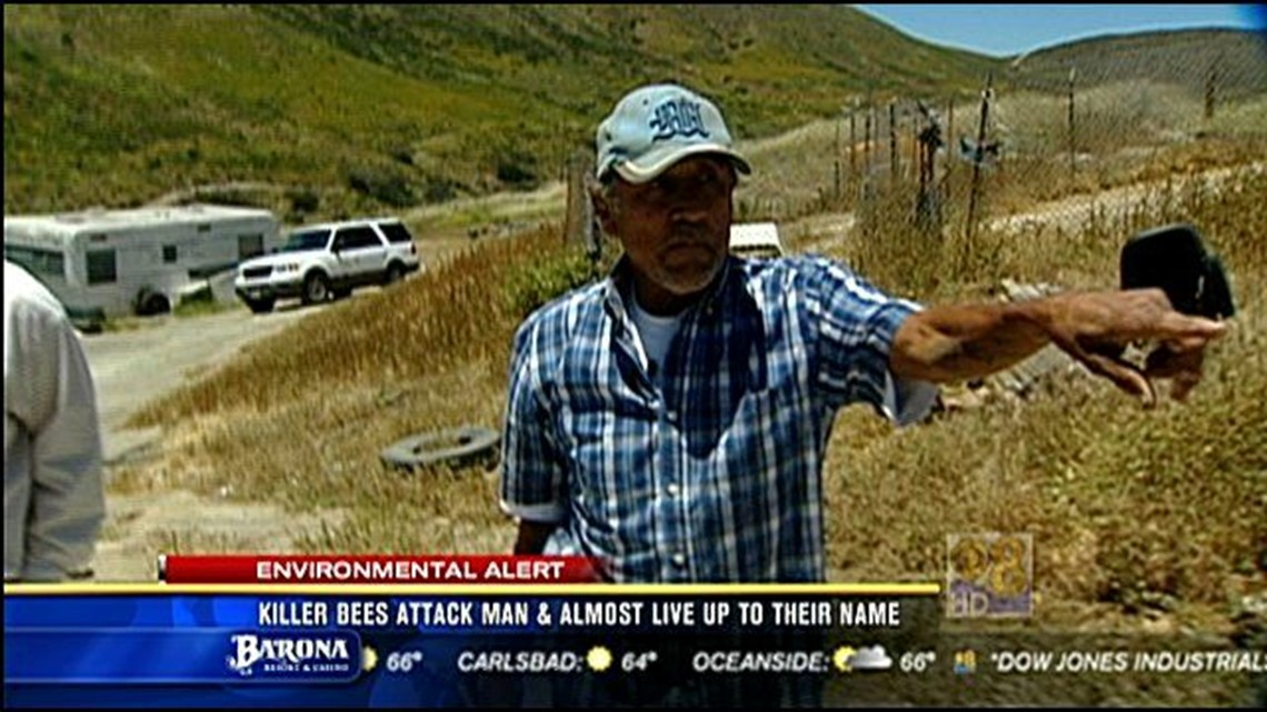 Killer bees attack man, almost live up to their name | cbs8.com