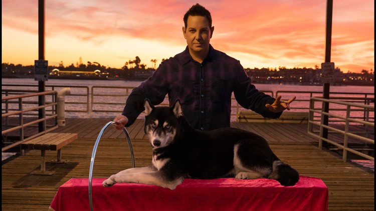'Houdini the Husky' gets adopted by a famous Las Vegas magician | cbs8.com