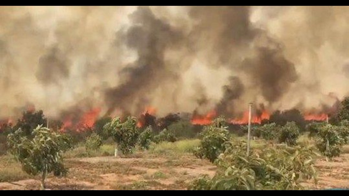 Brush fire near Pauma Valley 100% contained | cbs8.com