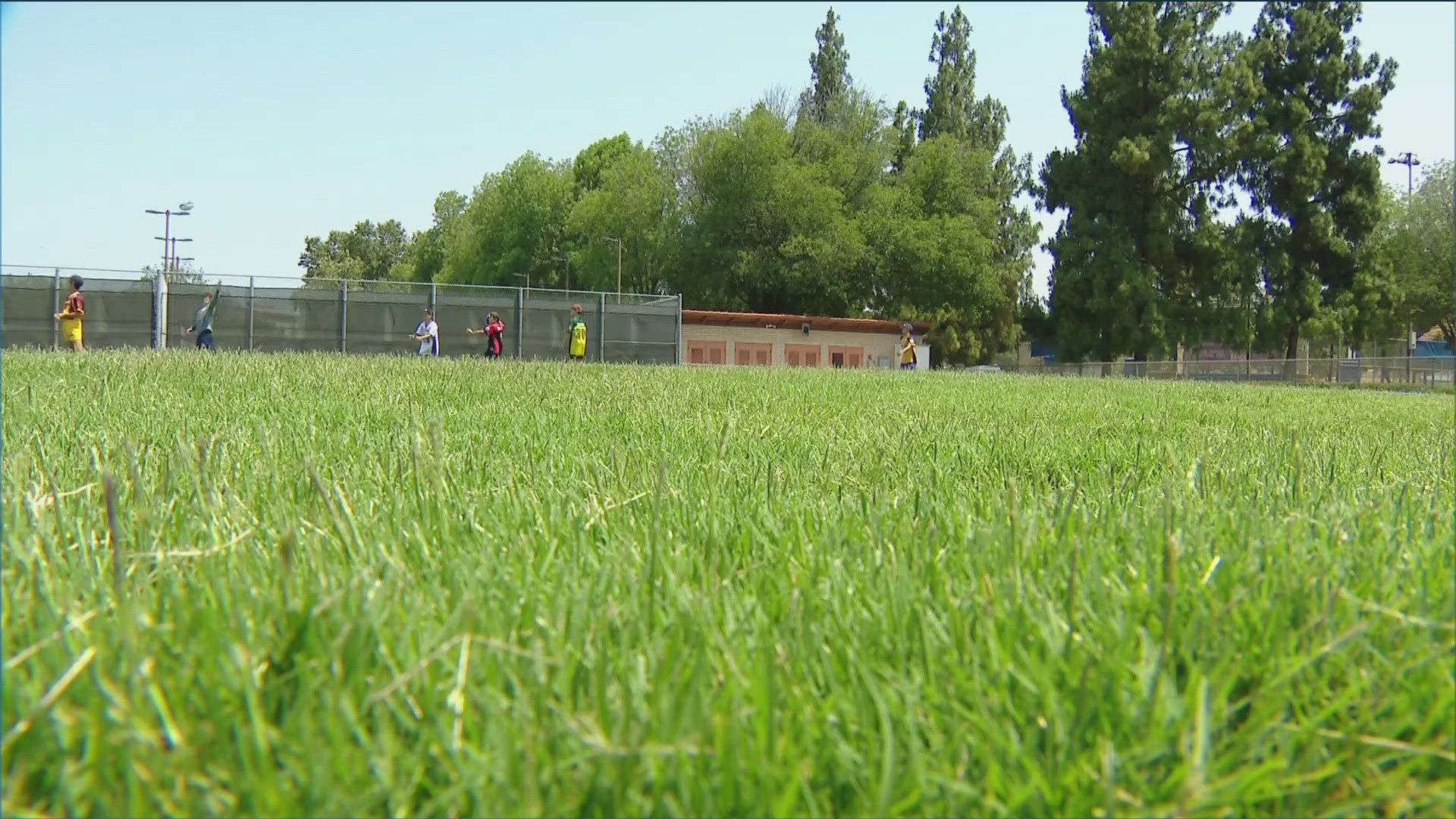 New turf field at Rancho Bernardo Community Park | cbs8.com