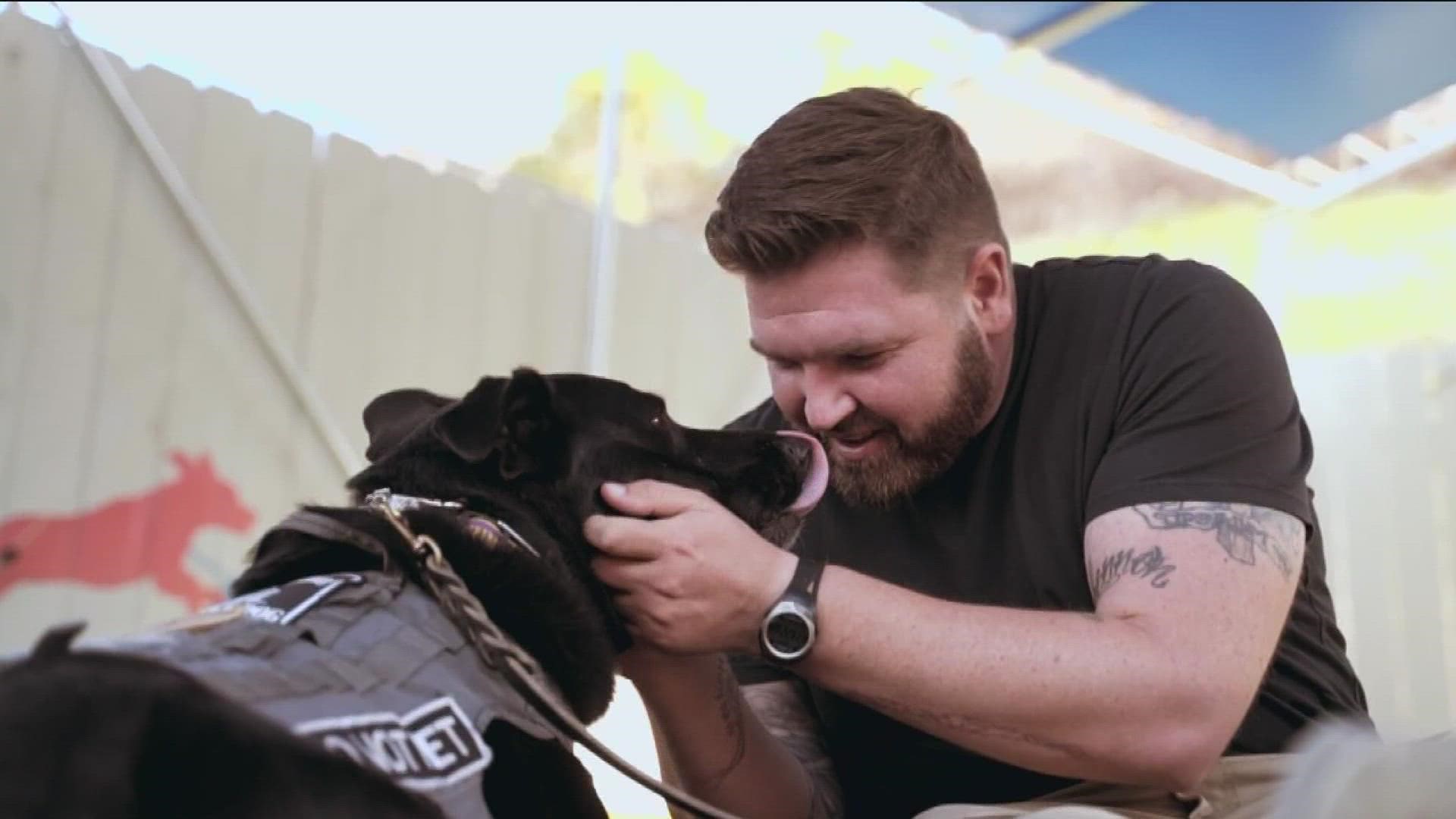 Nonprofit "Shelter to Soldier" is saving lives, 2 at a time | cbs8.com