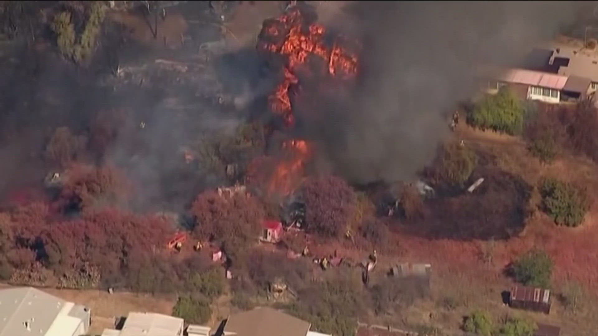 ‘All I had were my pets’ | Homeowner loses cats in Lakeside fire that ...