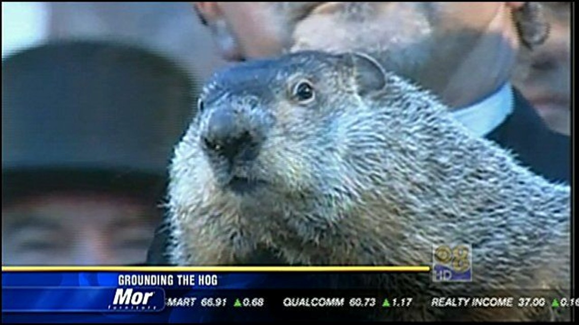Grounding the hog | cbs8.com