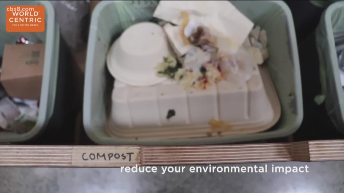 Cutting down on waste to be self-sustainable during the coronavirus ...