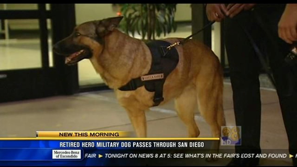Hero war dog on her final mission: Retirement | cbs8.com