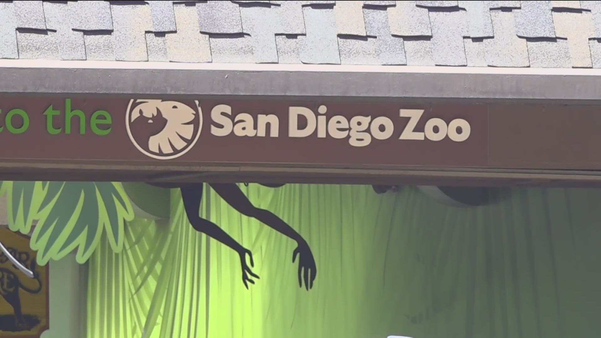 San Diego Zoo mourns loss of 3 cherished animals | cbs8.com
