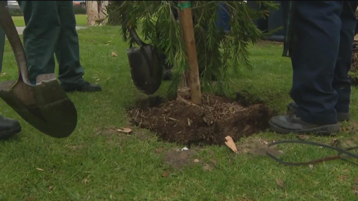 Multiple local and state agencies hold tree planting event to ‘increase ...