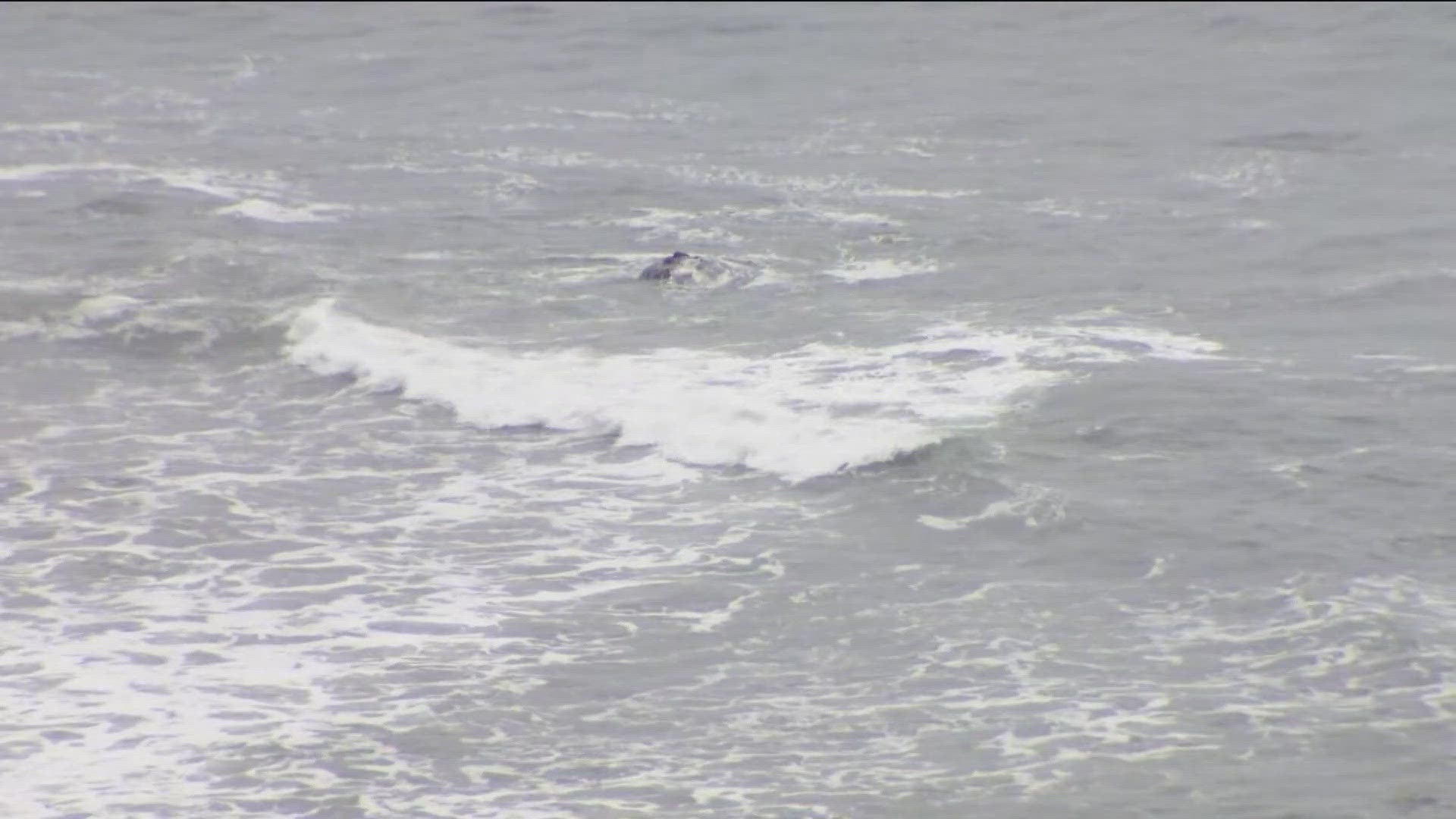 Six presumed dead after plane crash near San Diego's coast | cbs8.com