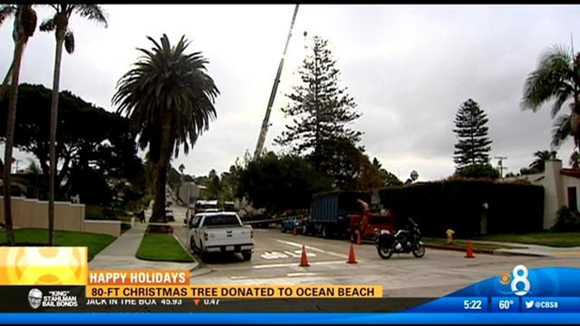 80-foot Christmas tree donated to Ocean Beach | cbs8.com