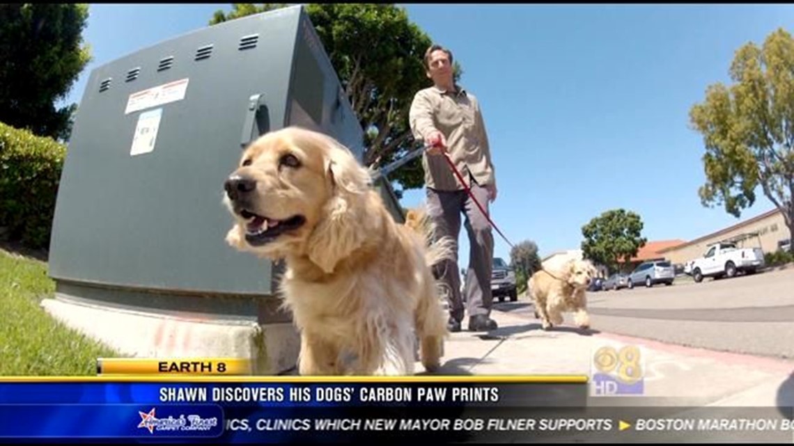 Shawn Styles discovers his dogs' carbon "pawprints" | cbs8.com