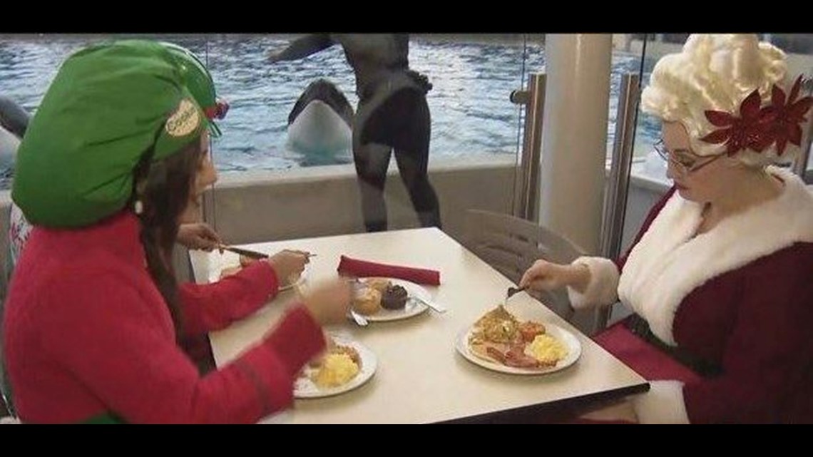 Breakfast buffet with Santa at SeaWorld San Diego | cbs8.com