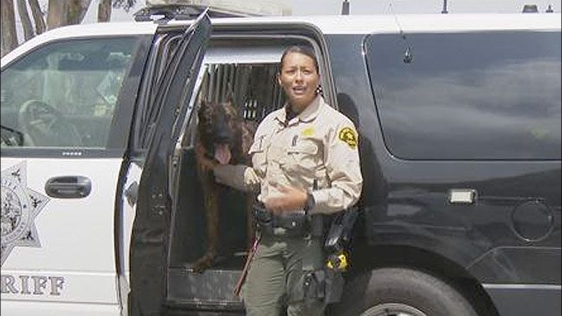 San Diego Sheriff's Department working to recruit more women | cbs8.com