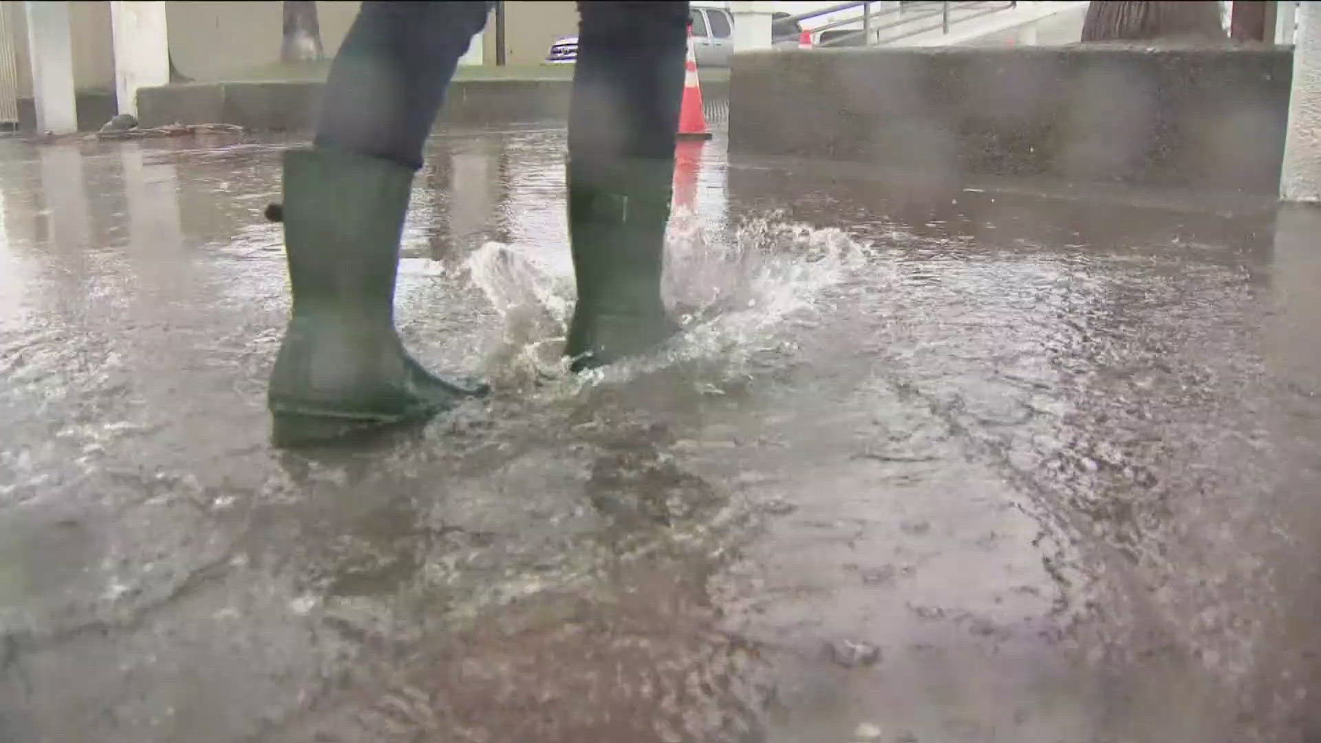 Flights delayed at San Diego International Airport on Christmas Eve as ...