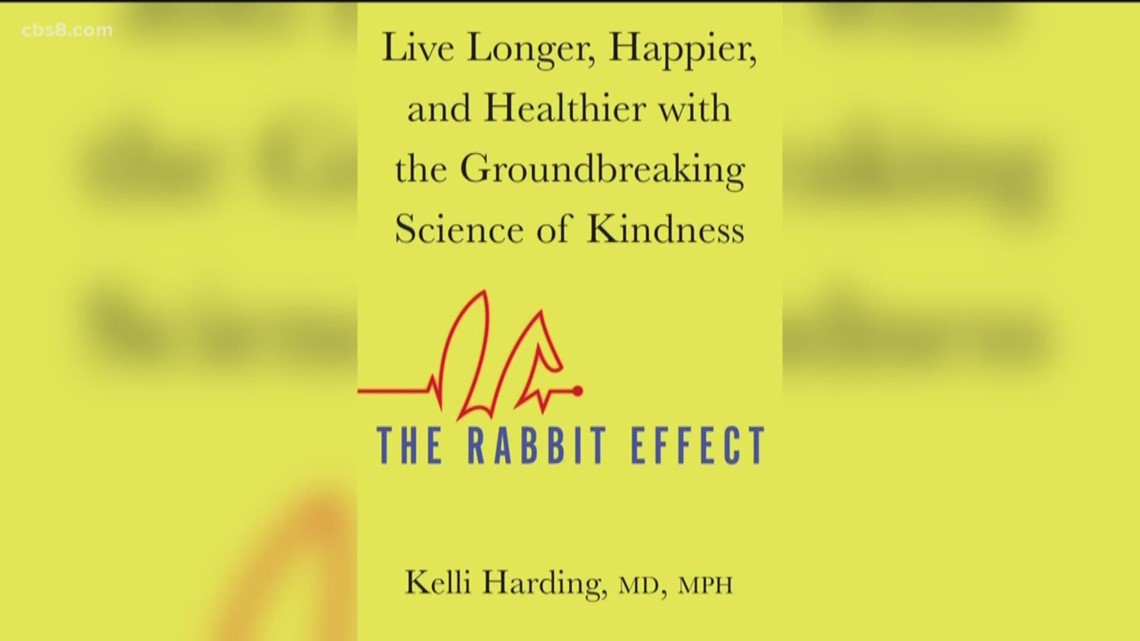 The Rabbit Effect: Inspiration from the most unlikely places- bunny ...