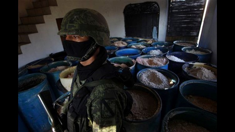 Mexican army finds 15 tons of pure methamphetamine | cbs8.com