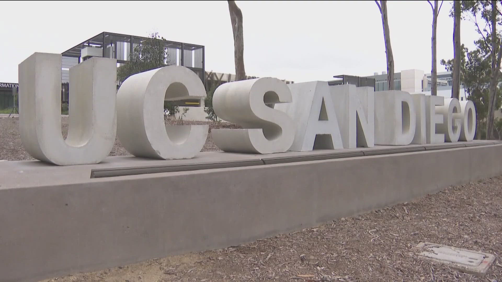 UCSD students lose F-1 visas; 1 deported | cbs8.com