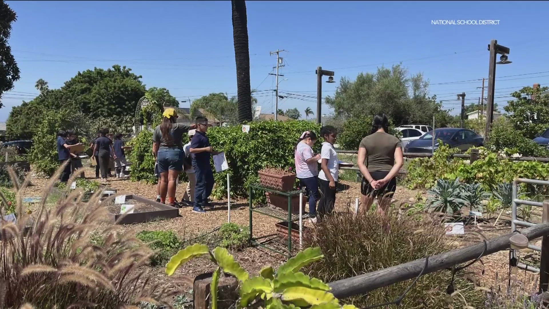 South Bay school district among California’s top 'green' schools | cbs8.com