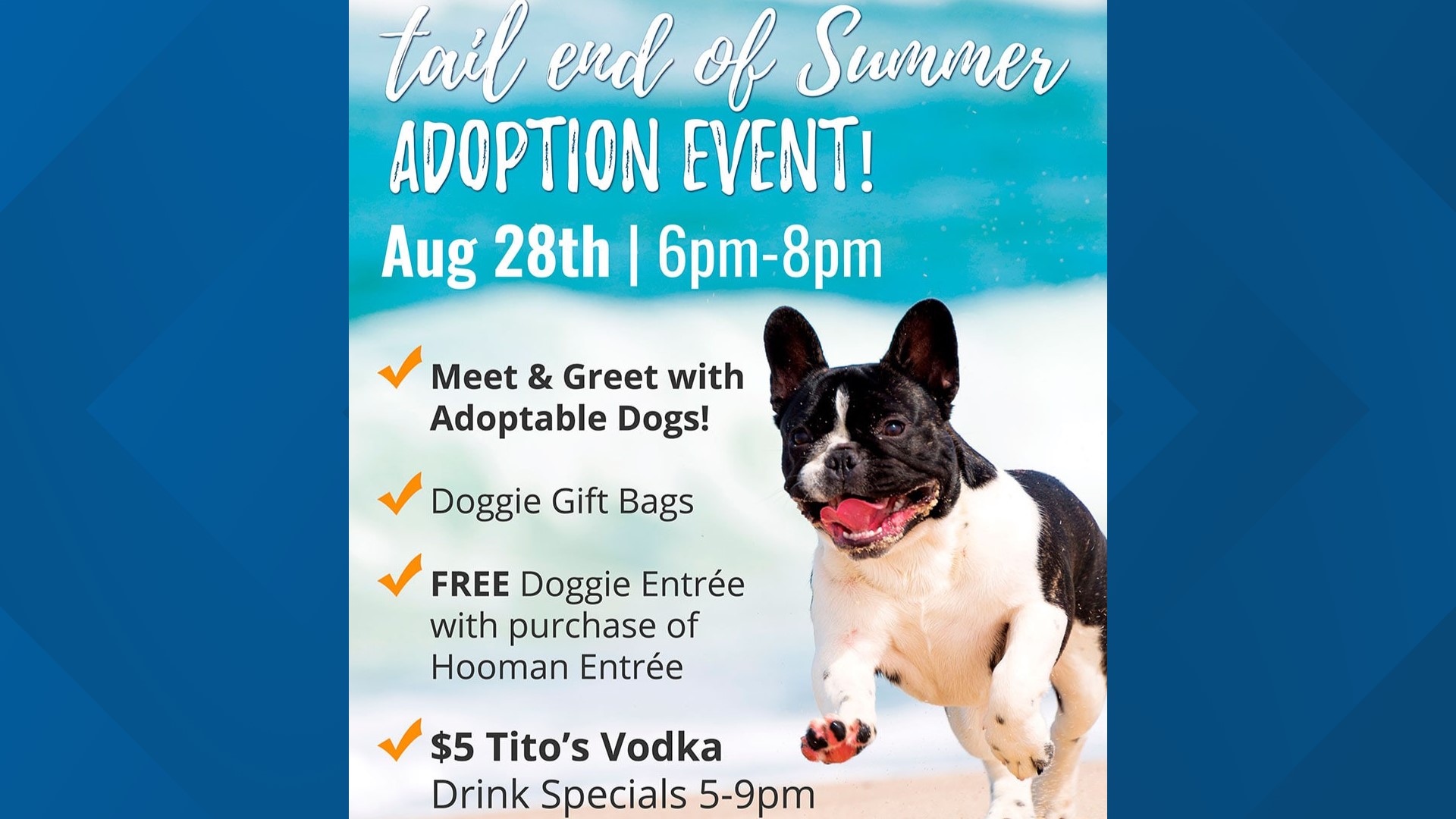 Celebrate the 'tail end of summer' with a fun dog adoption event | cbs8.com