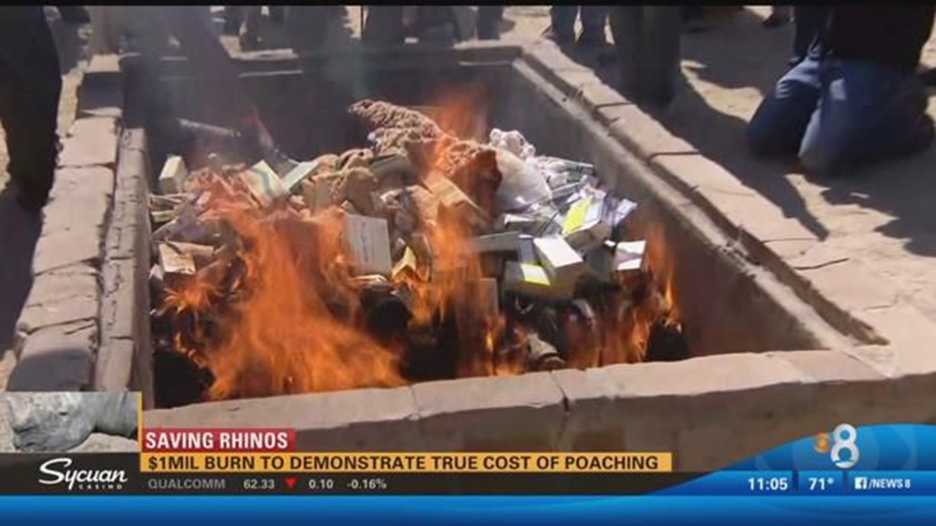 Rhinoceros horns burned at San Diego Zoo's Safari Park | cbs8.com