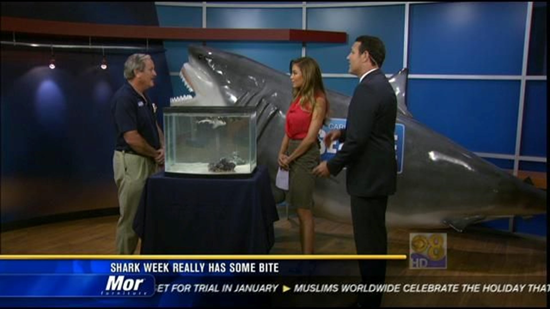 "Shark Week" really has some bite | cbs8.com