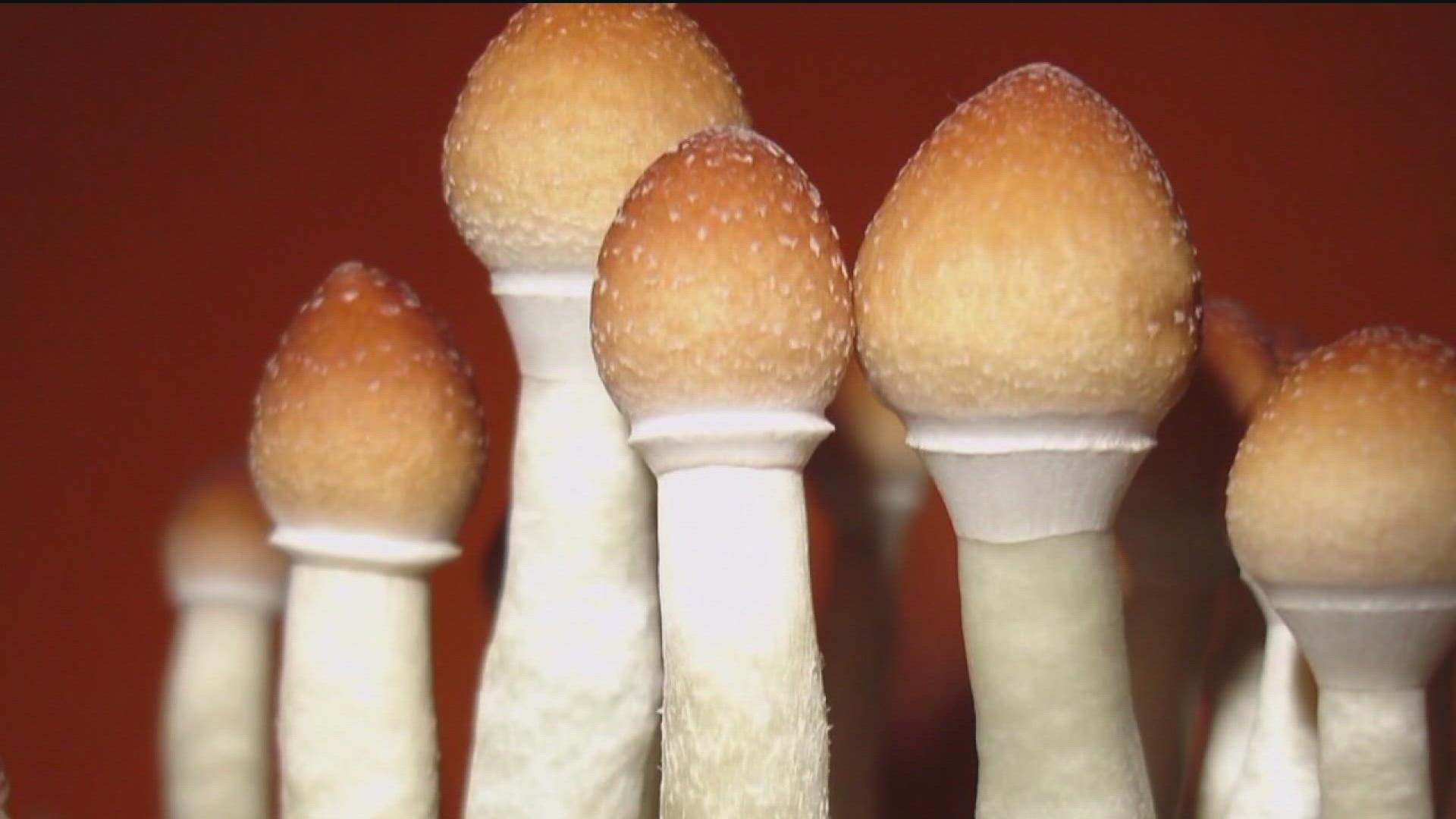 California sees new push to decriminalize psychedelics | cbs8.com