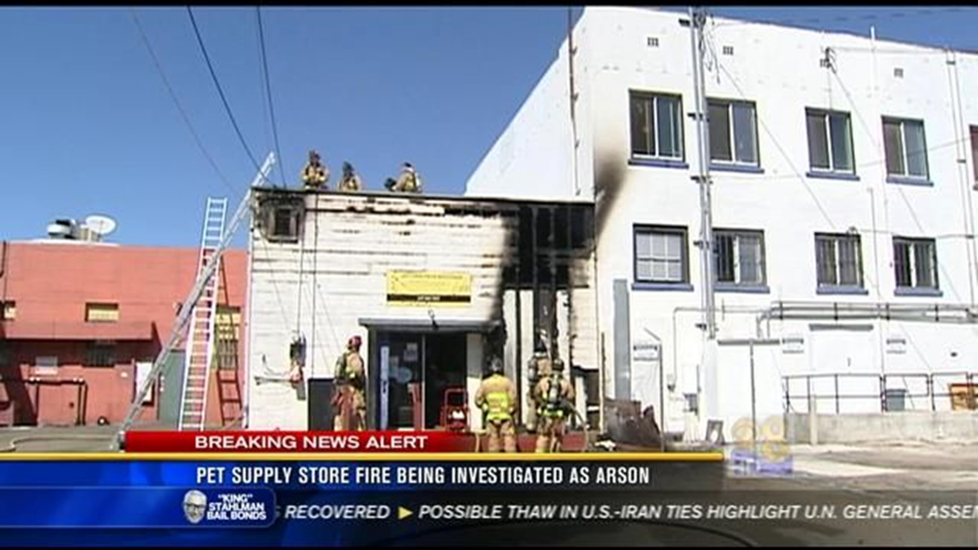 Fire at pet store in Hillcrest might be arson | cbs8.com