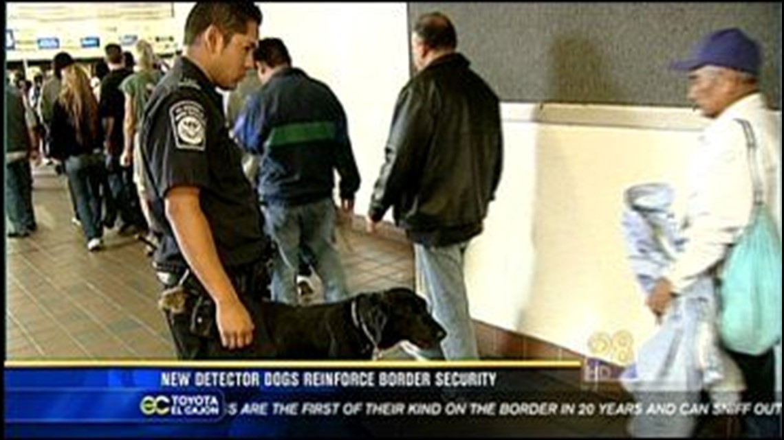 New detector dogs reinforce border security | cbs8.com