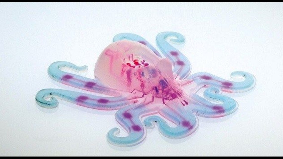 Meet Octobot, a robot that's a real softie, and cheap | cbs8.com