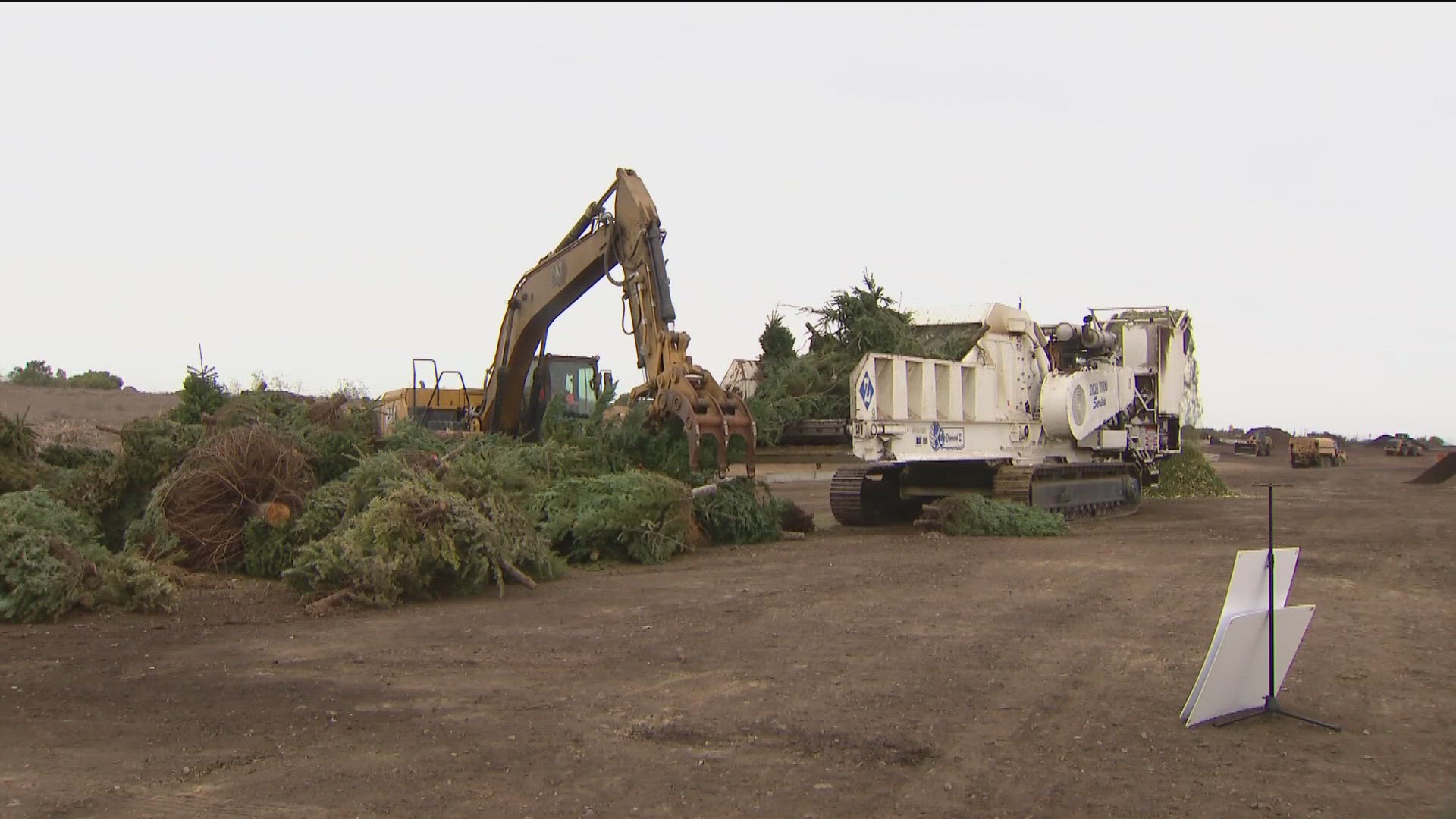 Free Christmas tree recycling available in San Diego | cbs8.com