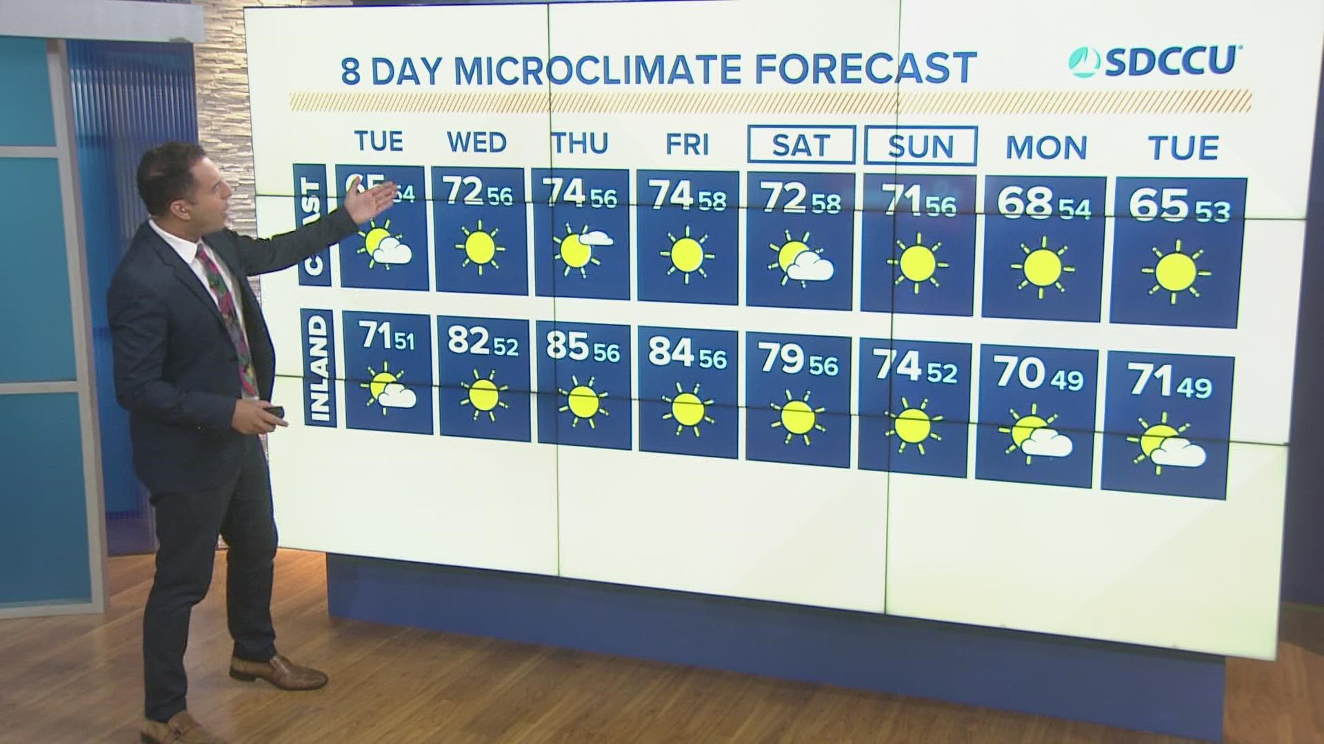 What are police bean bags and rubber bullets made of? | cbs8.com