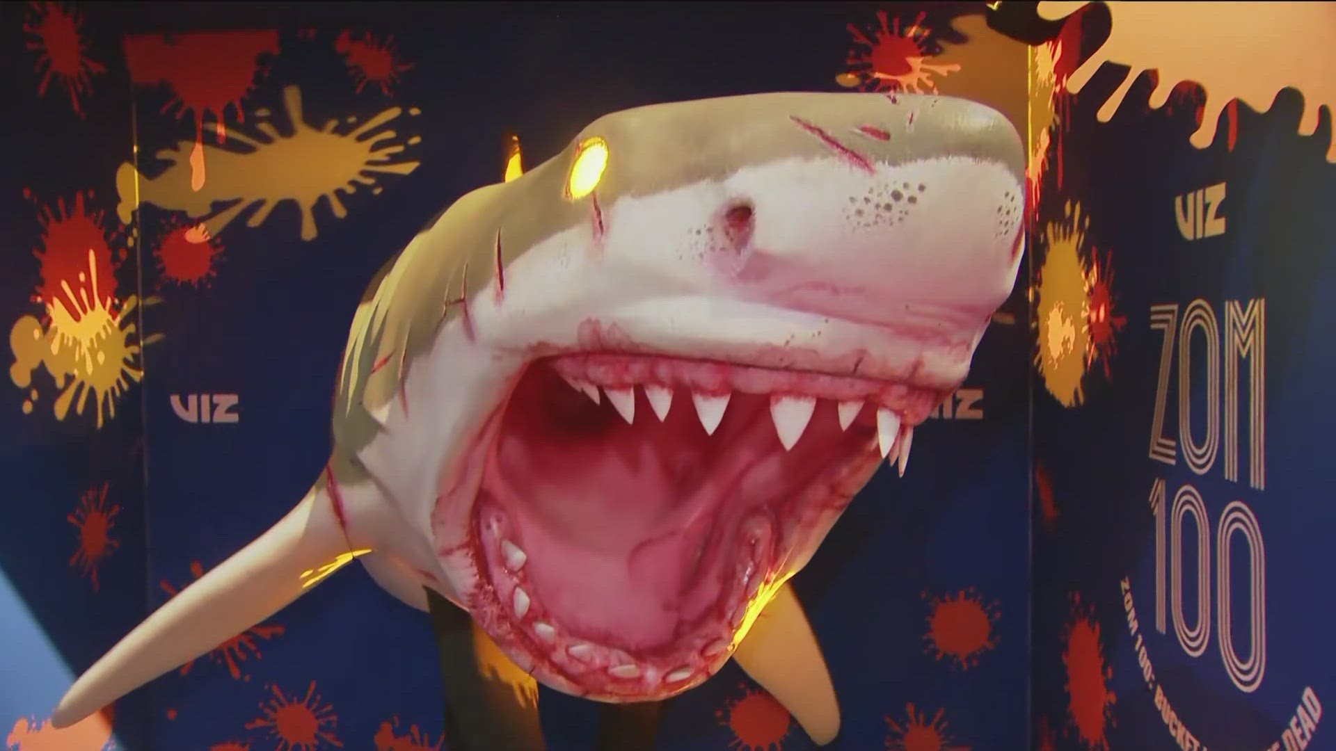 Comic-Con Day 2 | A visit with VIZ Media to talk Anime and Manga | cbs8.com