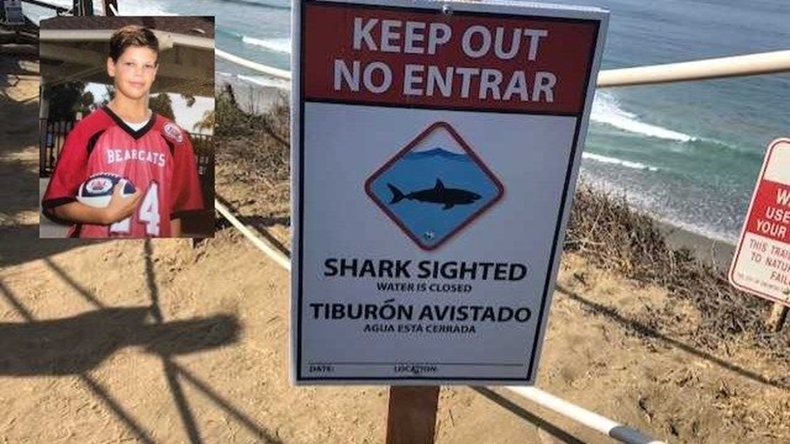 Teen attacked by shark at Beacon's Beach in Encinitas expected to make ...