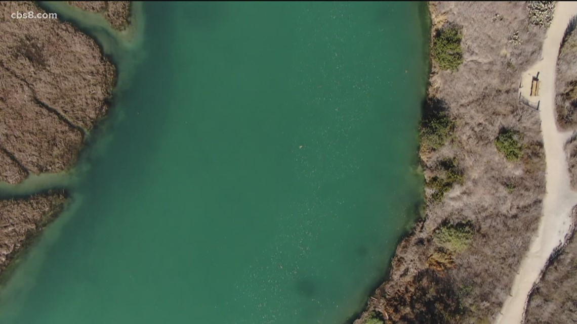 Shrinking San Diego coastal wetlands threatens increased carbon | cbs8.com