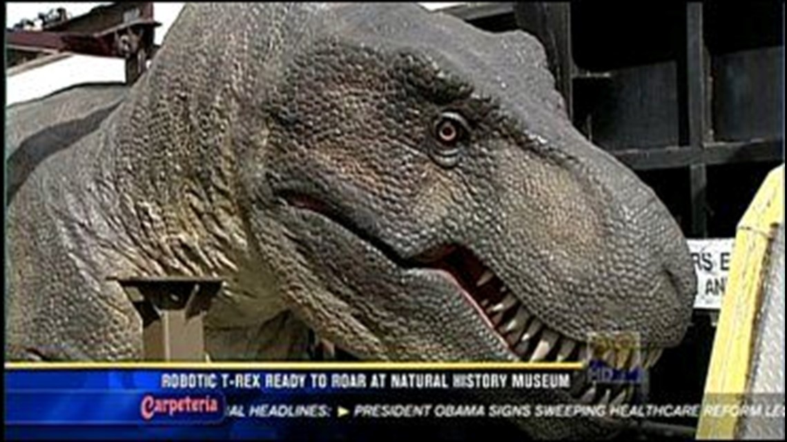 Robotic T-Rex ready to roar at Natural History Museum | cbs8.com