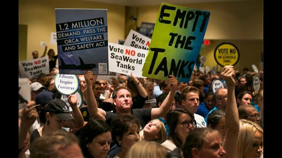 Coastal Commission votes to ban SeaWorld orca breeding, approves tank ...