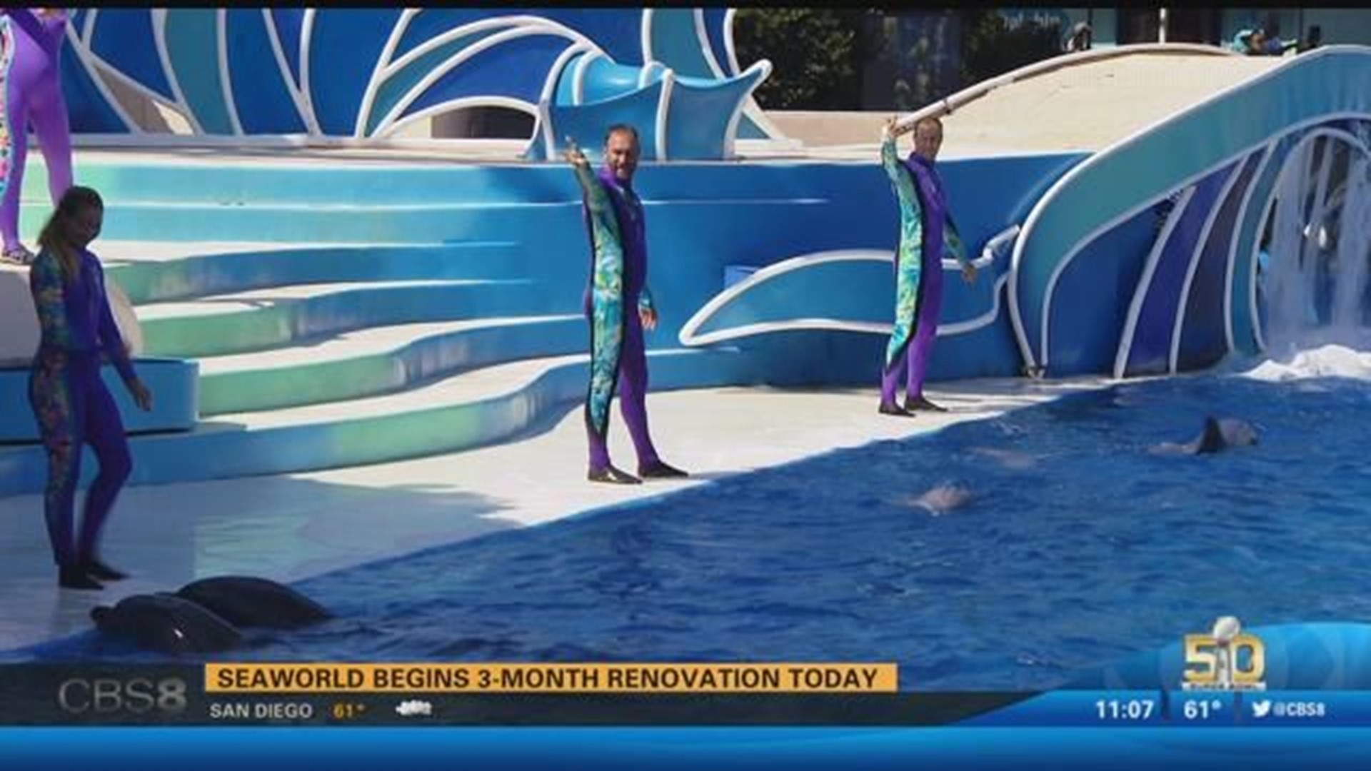 SeaWorld begins three month dolphin stadium renovation | cbs8.com