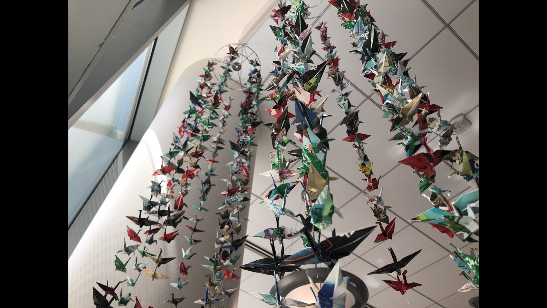 Origami Wish | "Please end COVID-19" | cbs8.com