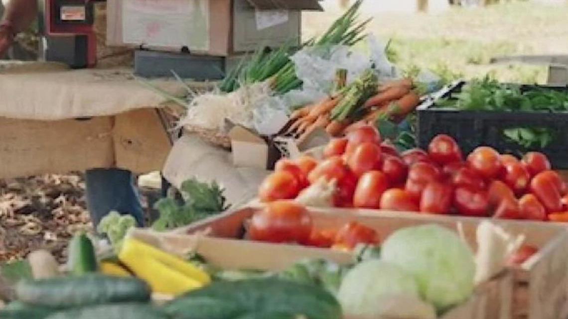 SDSU, Mesa College receive $1M grant from USDA | cbs8.com
