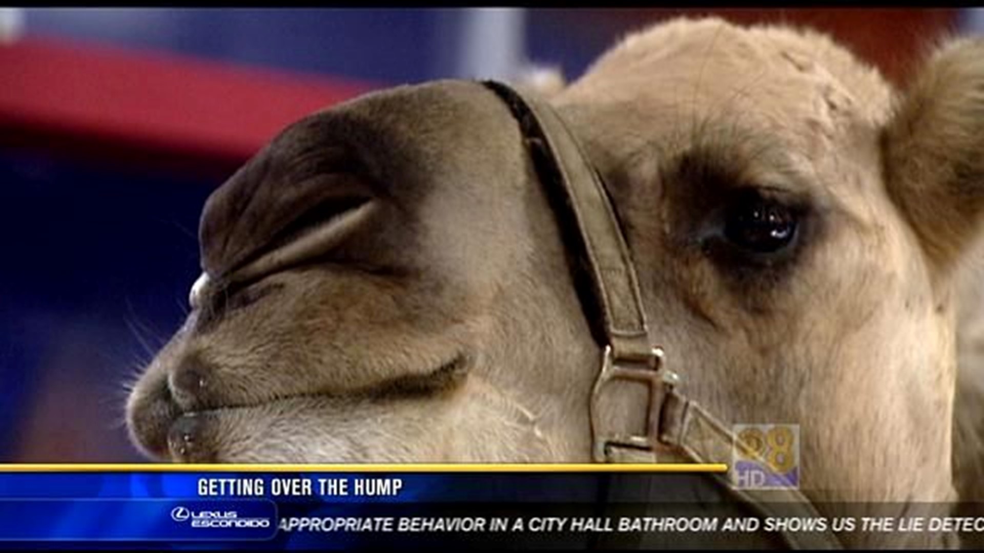 Getting over the hump | cbs8.com