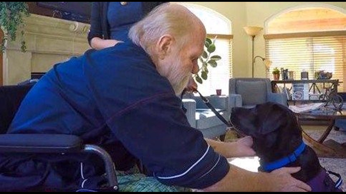One-of-a-kind hospice dog heals hearts | cbs8.com