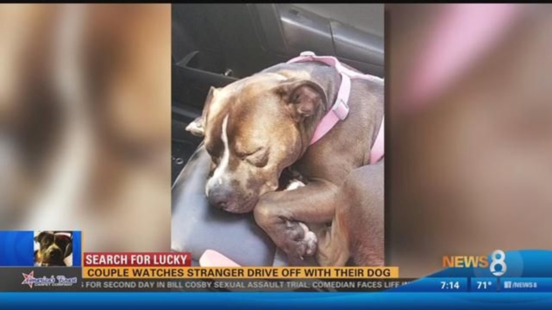 Couple watches stranger drive off with their dog | cbs8.com